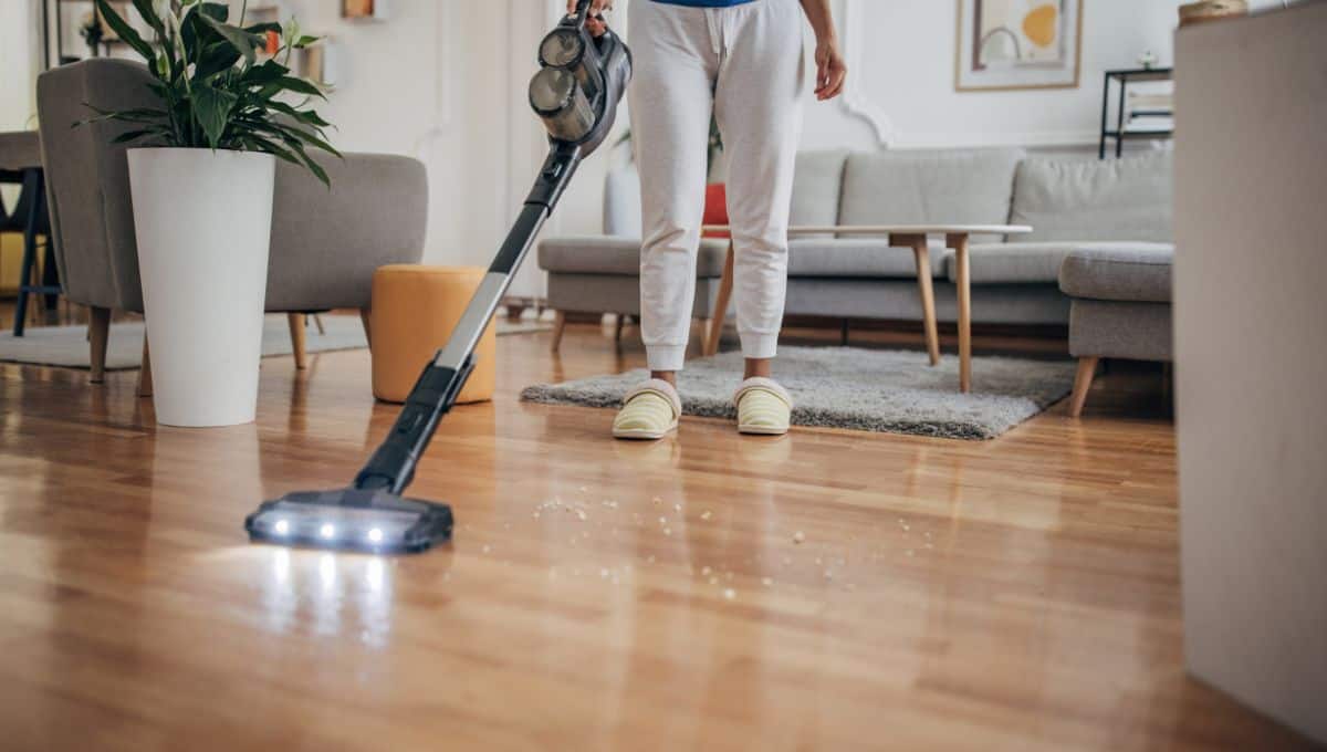 Your Ultimate Guide to the Various Vacuum Cleaner Types Available Today ...